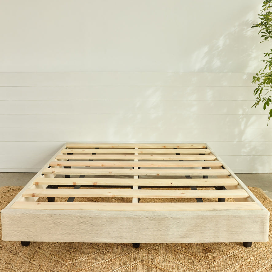 Avocado Green Foundation