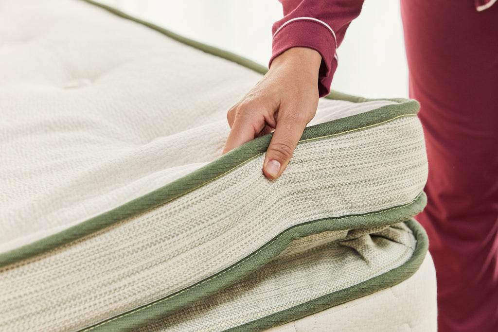 Avocado Green Box Top Mattress