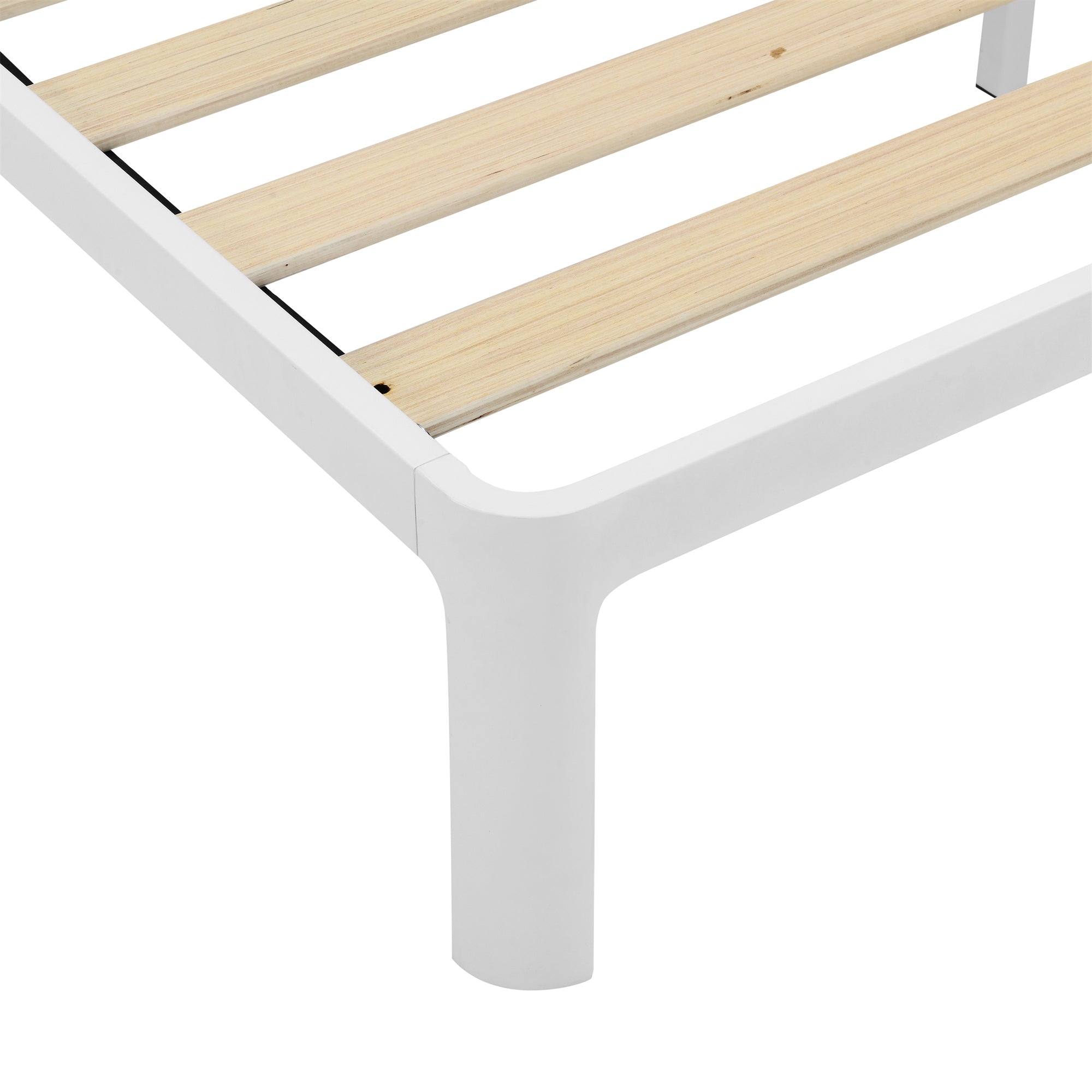 Infinity Modern Catalina Platform Bed