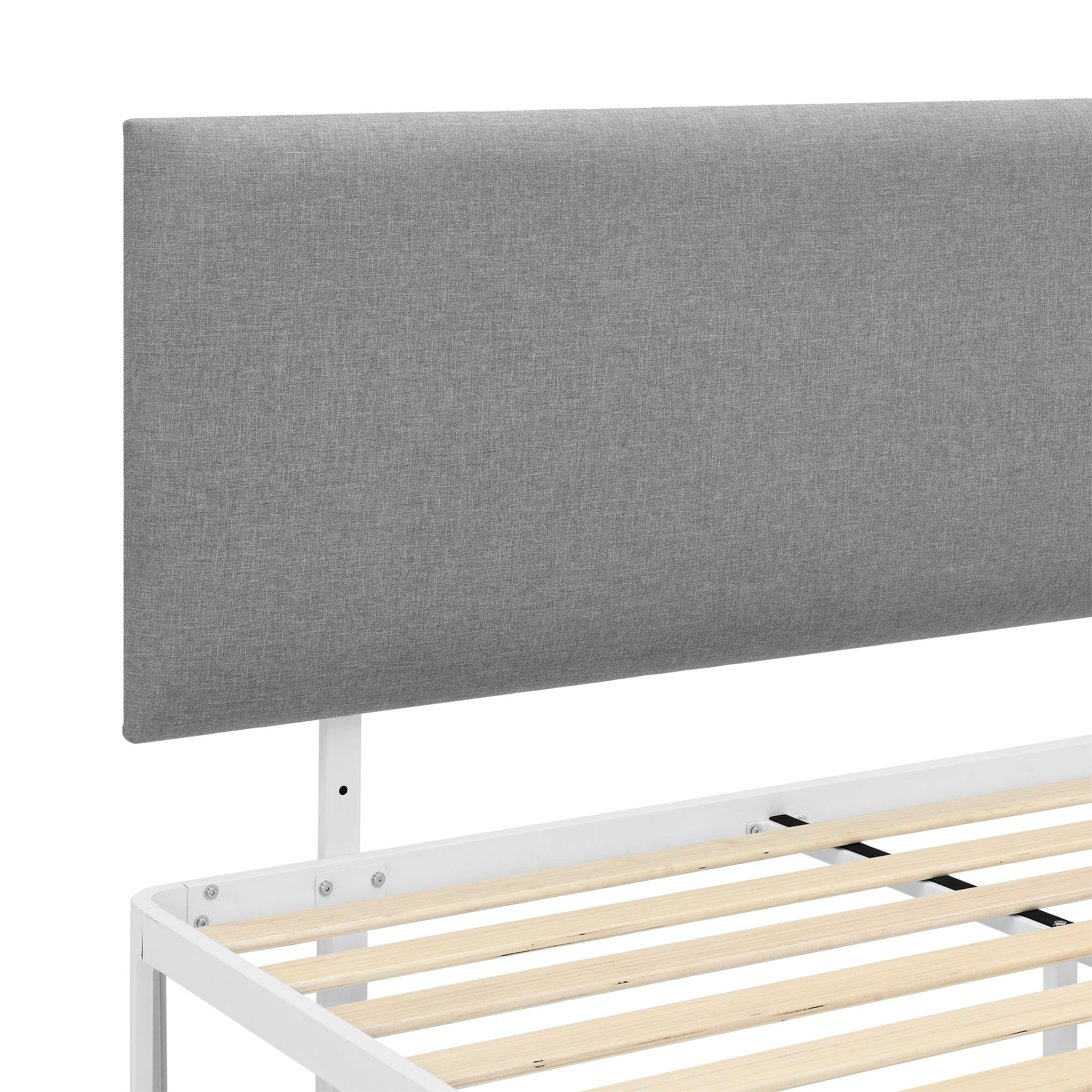 Infinity Modern Catalina Platform Bed