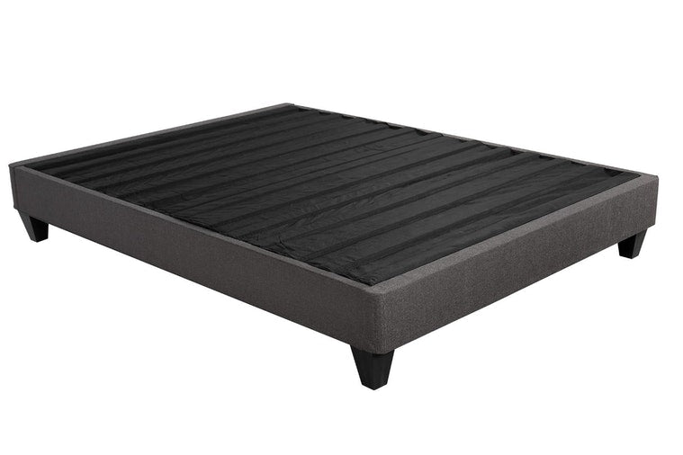 Primo Rapid Foundation